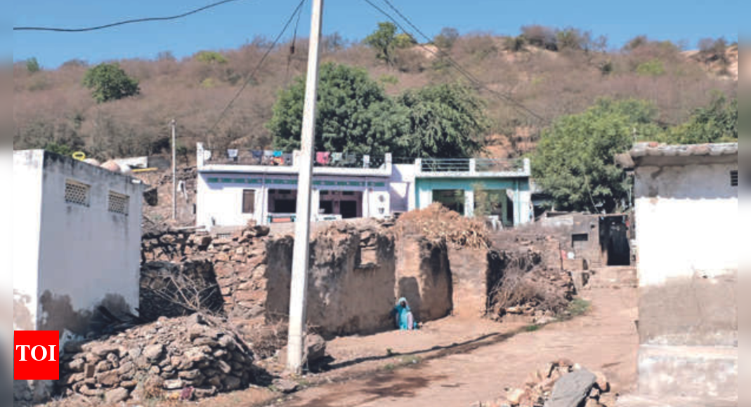 Rajasthan: Fear of leopards forces Todgarh villages to close for 12 ...
