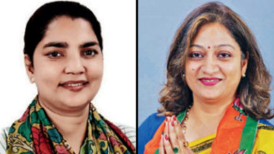 Delhi MCD polls 2022: Rising from humble origins, these grassroot ...