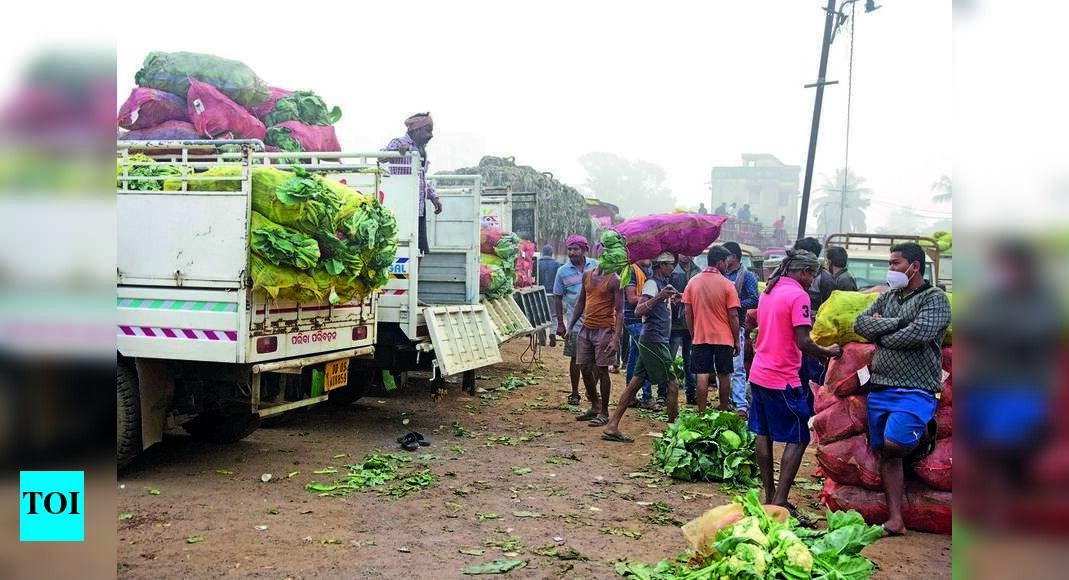 Garbage: Bmc Plans Time Slots To Lift Garbage From Markets ...