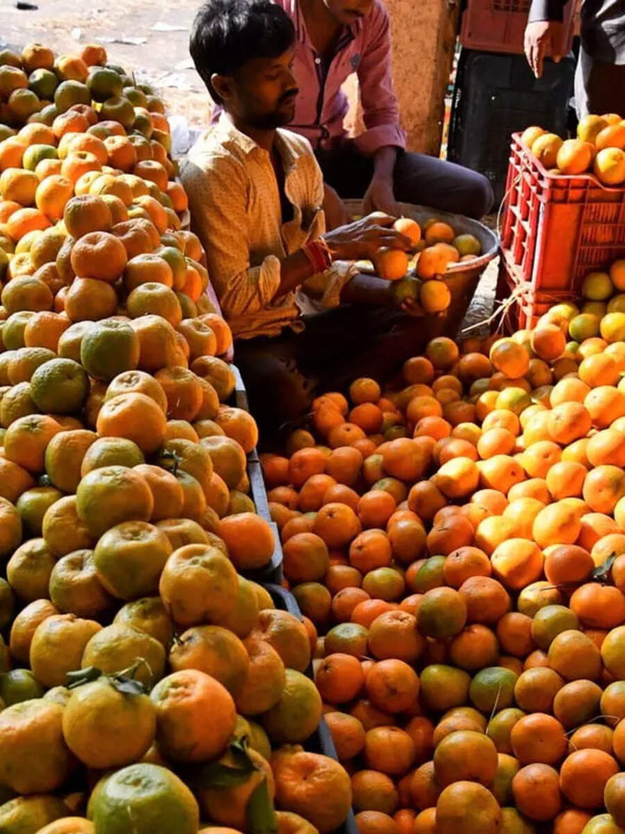 Season's fave citrus fruit back in Navi Mumbai | Times of India