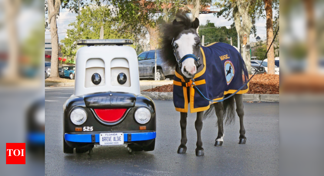 Viral News: This miniature therapy horse is the newest member of the ...