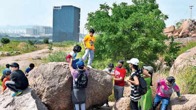 Hyderabad’s rock stars older than Himalayas | Hyderabad News - Times of ...