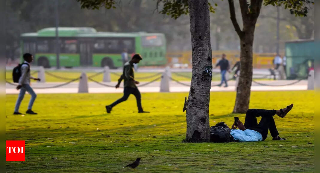 Delhi Weather: At 7.8 degrees Celsius, Delhi sees coldest November ...