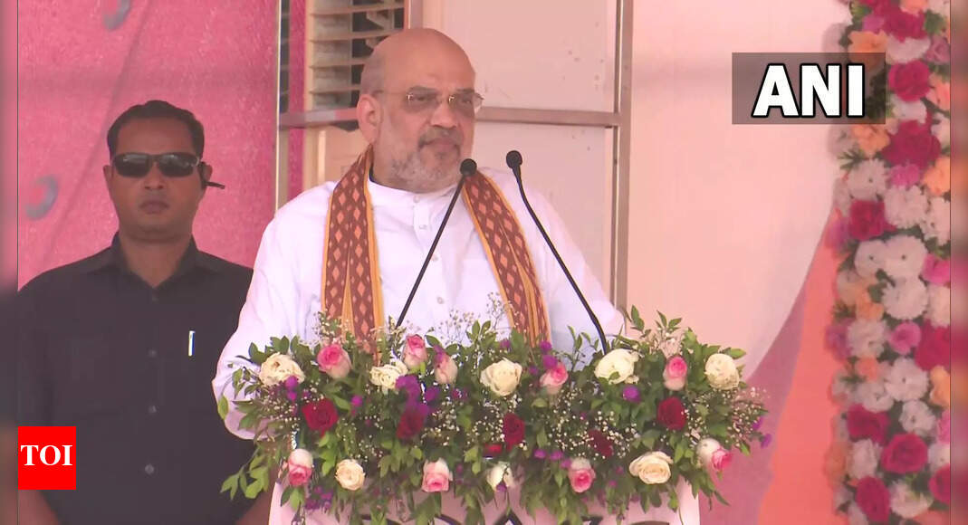 Shah: BJP established permanent peace in Gujarat post-2002: Amit Shah ...