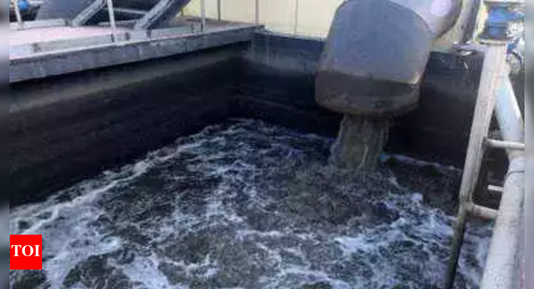 ‘new Stps Will Be Free Of Stench’ | Hyderabad News - Times of India