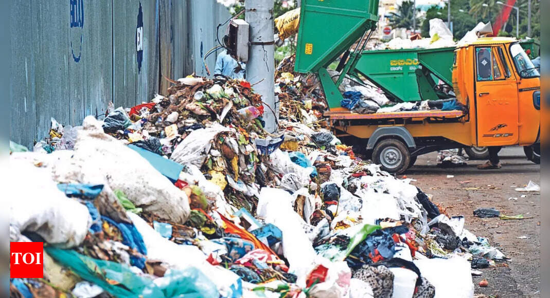 For Garbage-free City, Mc Helps Organise ‘zero-waste Wedding ...