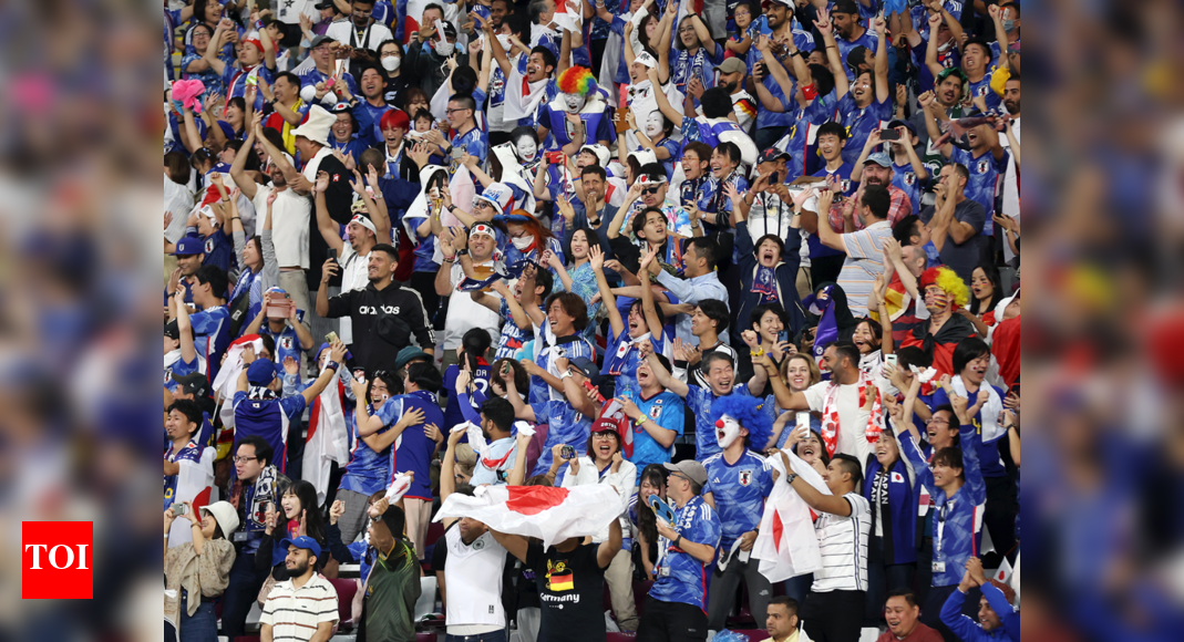 FIFA World Cup 2022: Camel flu is the new risk for fans in Qatar, claim ...