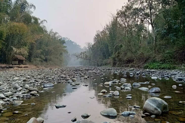 Visit Assam’s Haflong for these adventures | Times of India Travel