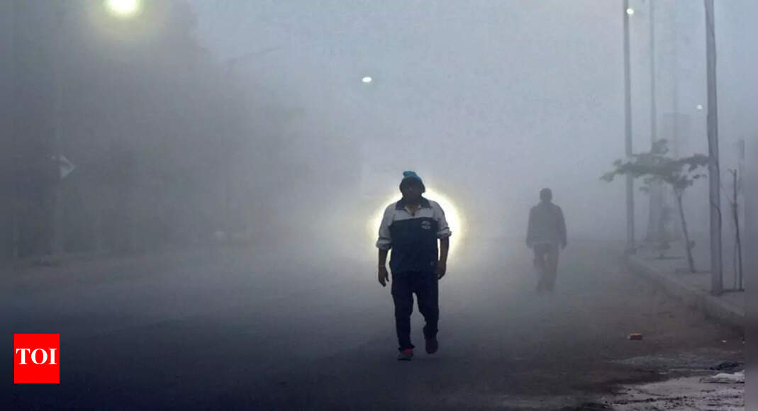 Imd: Warm start to December likely: IMD | Pune News - Times of India