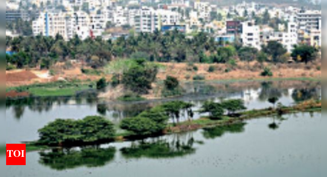 Bruhat Bengaluru Mahanagara Palike restrained from laying track on lake ...