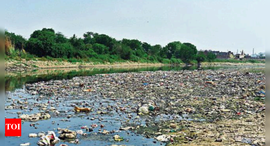 Ngt: Ngt Orders Panel To Submit Factual Report On Hindon Pollution In 2 Mths | Noida News ...