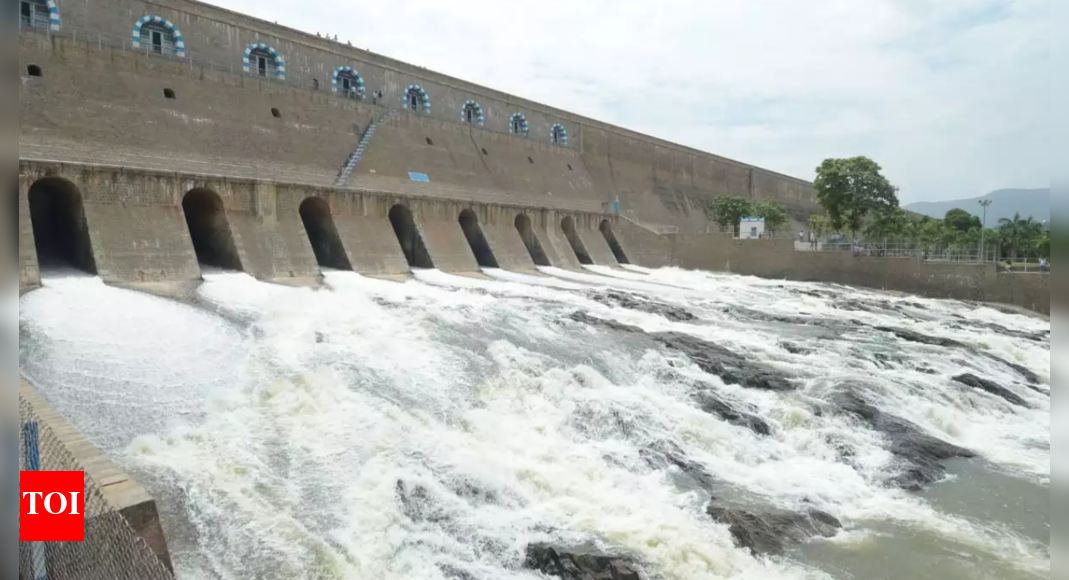 Tamil Nadu govt orders WRD officials to extend water release into ...