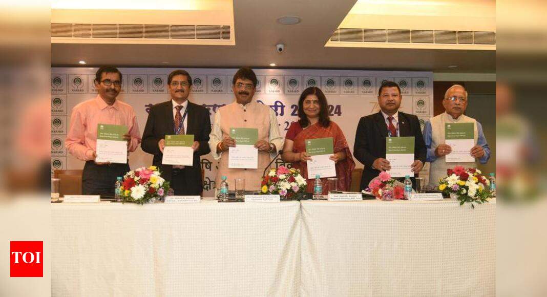 Strengthen Goa’s fisheries sector: Nabard report | Goa News - Times of ...