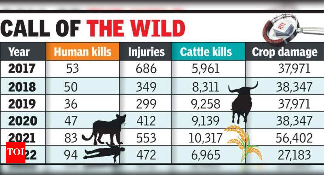 94 deaths in 11 months, man-animal conflict is at its peak | Nagpur ...
