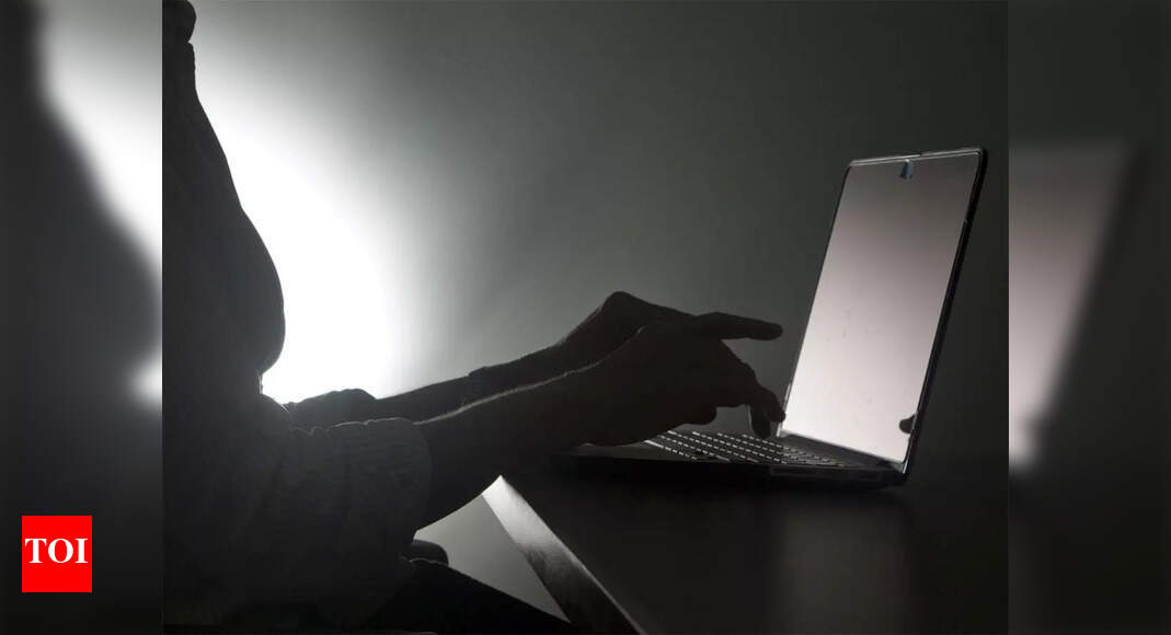 Why analysing user behaviour is key to addressing cyber fraud - Times ...