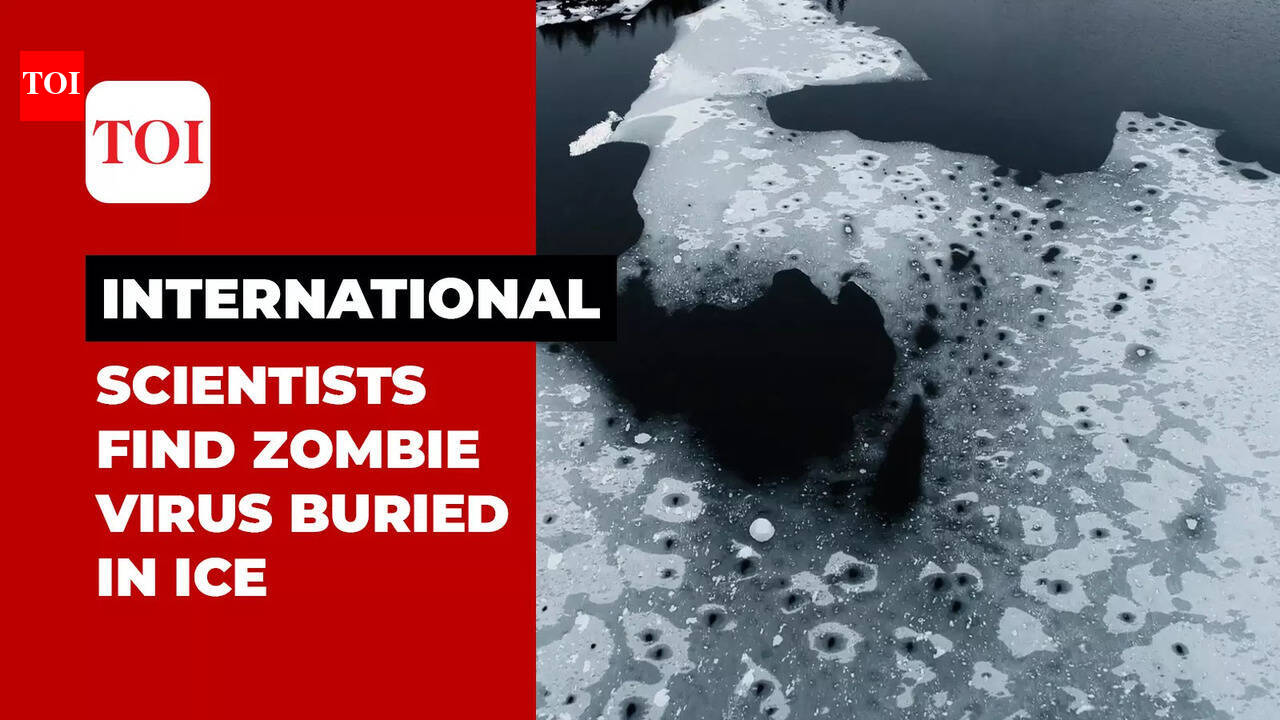 russia: Scientists revive 48,500-year-old 'Zombie Virus' buried in ice ...