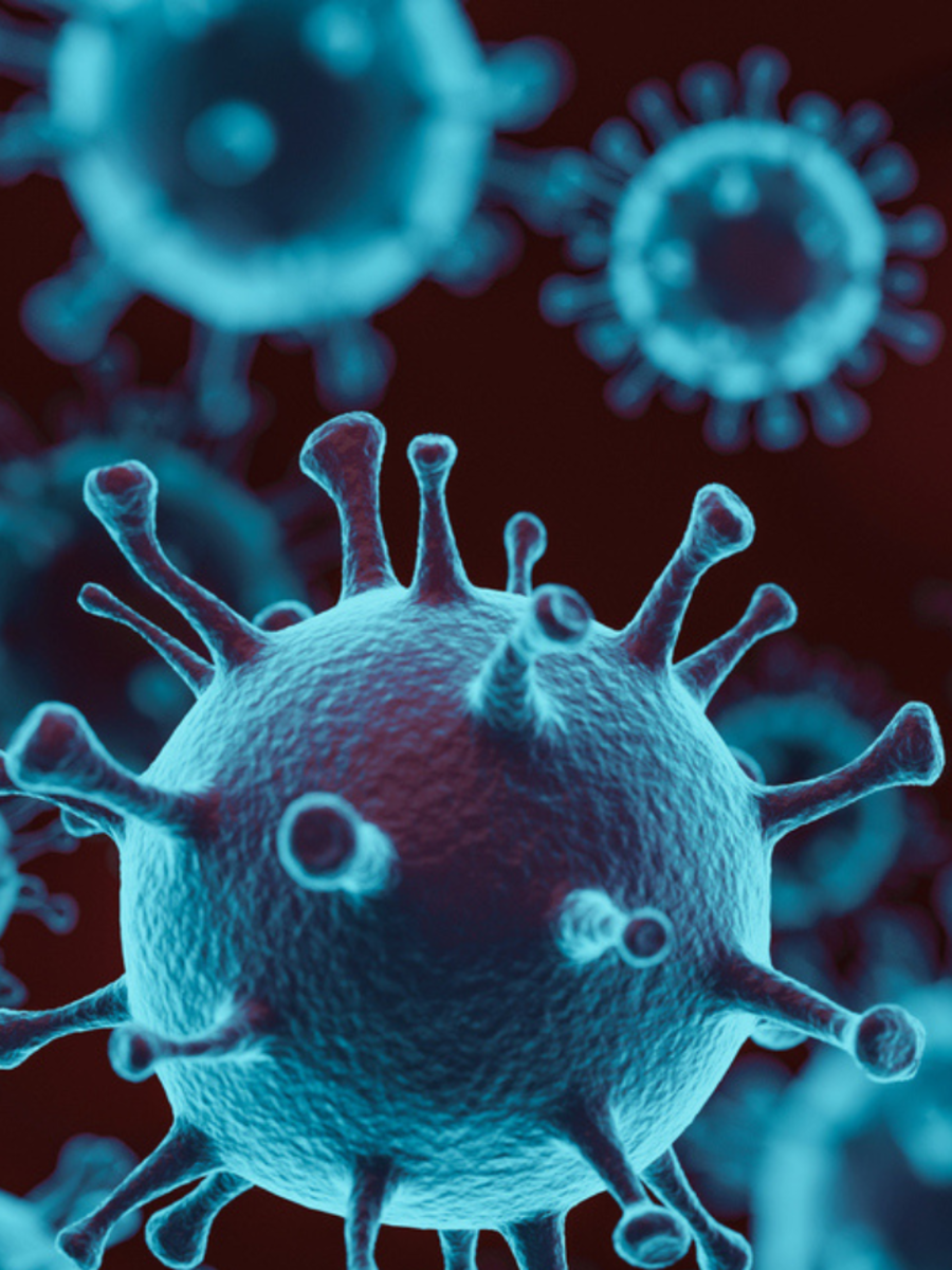 What is the 'Zombie Virus' scientists have revived recently? | Times of ...