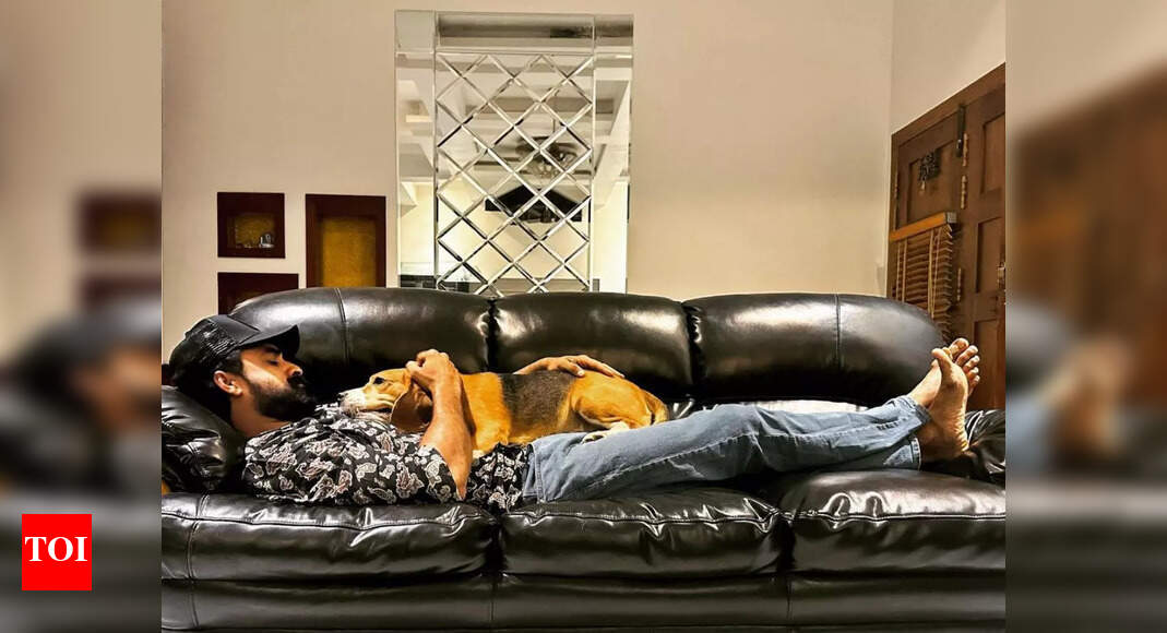 Tovino Thomas drops a pawdorable picture with his furry friend Pablo ...