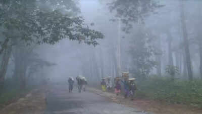 Andhra Pradesh: Alluri district shivers as mercury dips | Visakhapatnam ...