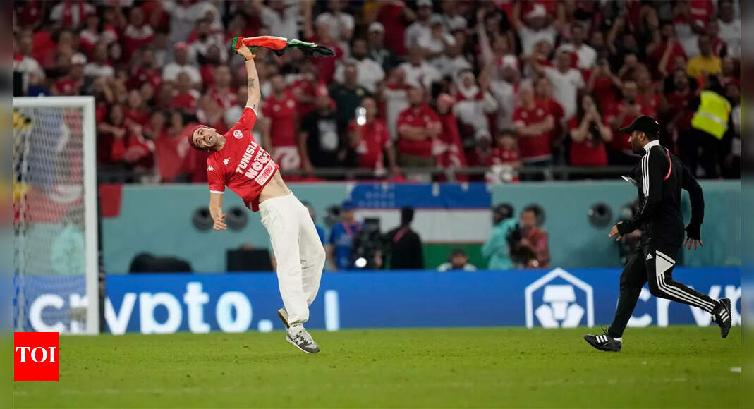 Tunisia: Watch: Supporter runs onto pitch during Tunisia vs France game ...