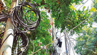 Punjab: Remove overhead cables in 7 days, municipal corporation tells 3 ...