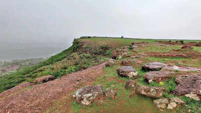 Maharashtra: Reserve tag to help Masai Pathar's conservation efforts to ...