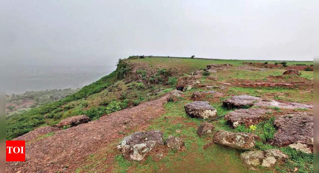 Maharashtra: Reserve tag to help Masai Pathar's conservation efforts to ...