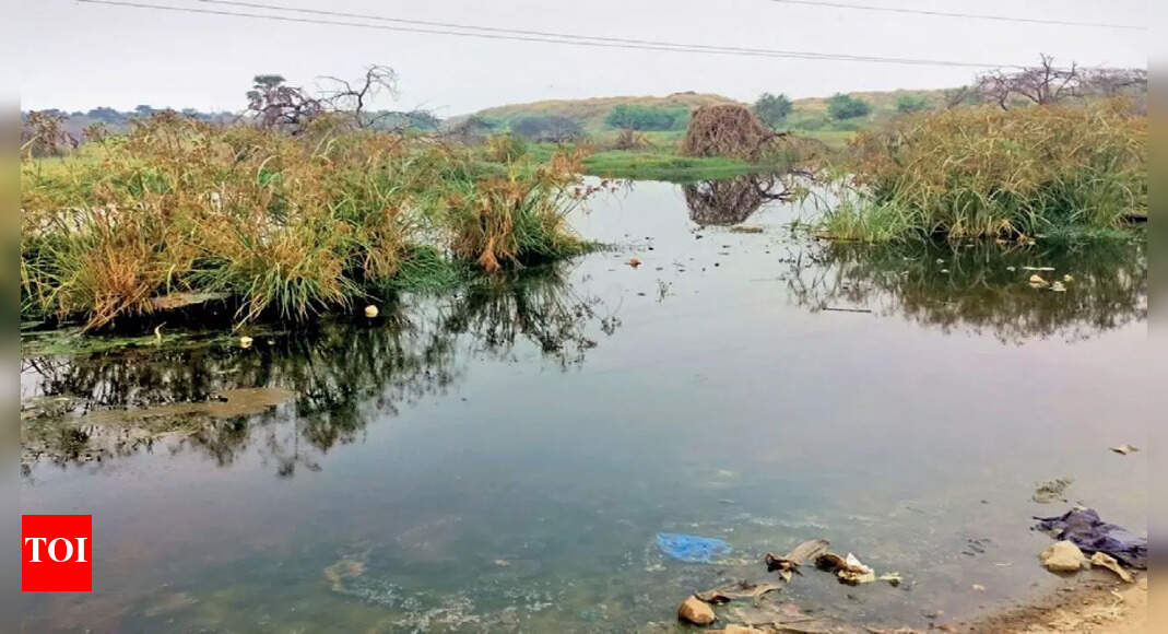 Pcb: Vanasthali Park: Pcb Picks Samples From Cesspool, Officials To ...