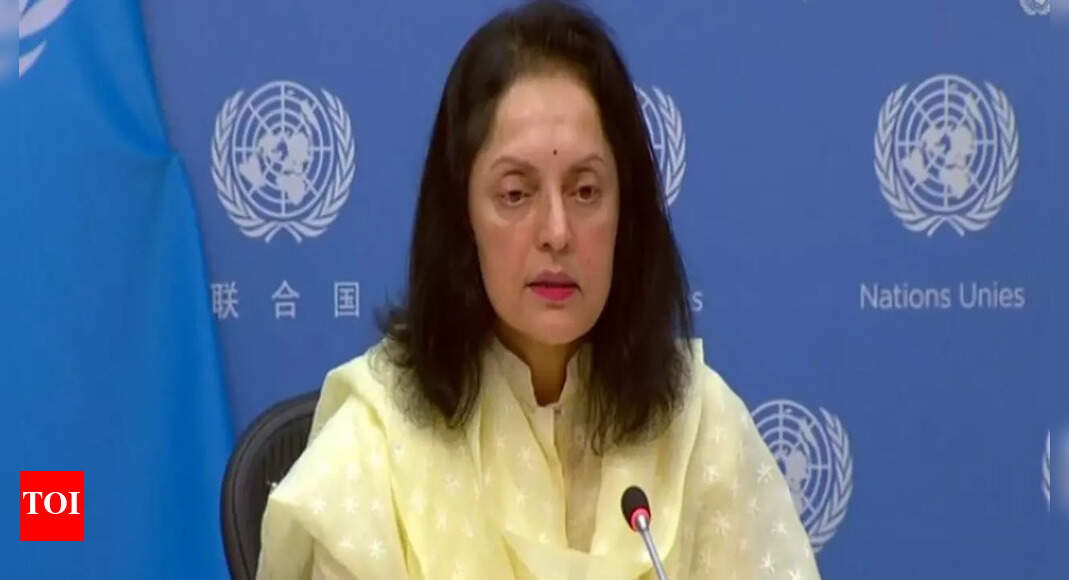 'We don't need to be told what to do on democracy': India's Permanent ...