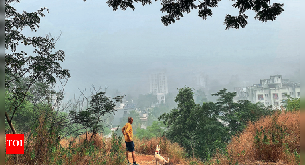 Pune's average minimum temperature this November least in 6 years: IMD ...