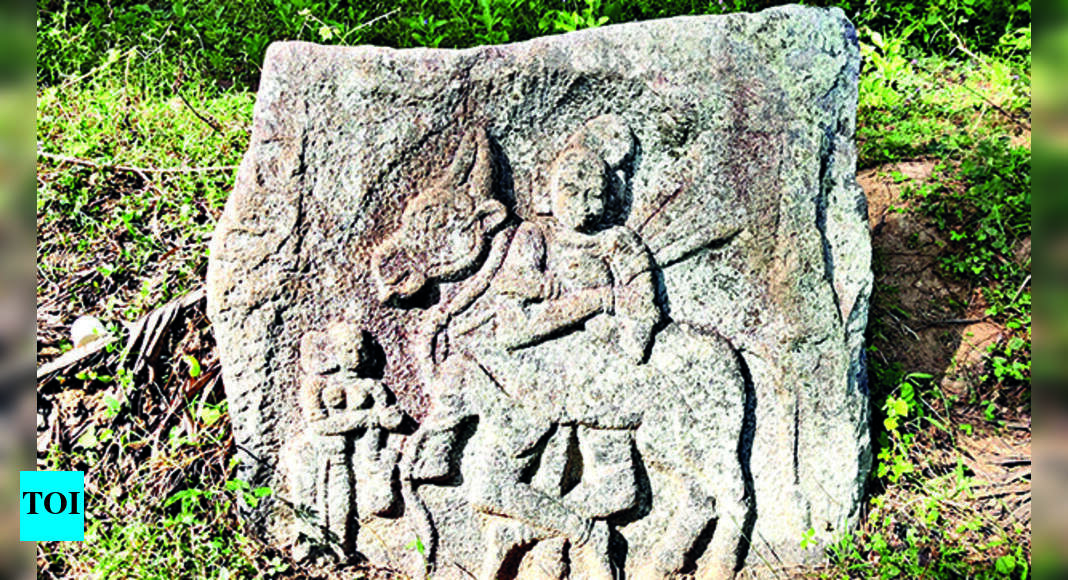 Krishnagiri: Hero Stone Depicting Bull Taming Sport Found In ...