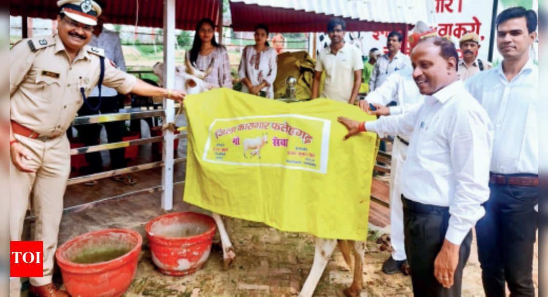 Uttar Pradesh: Cows to beat the chill with coats stitched by jail ...