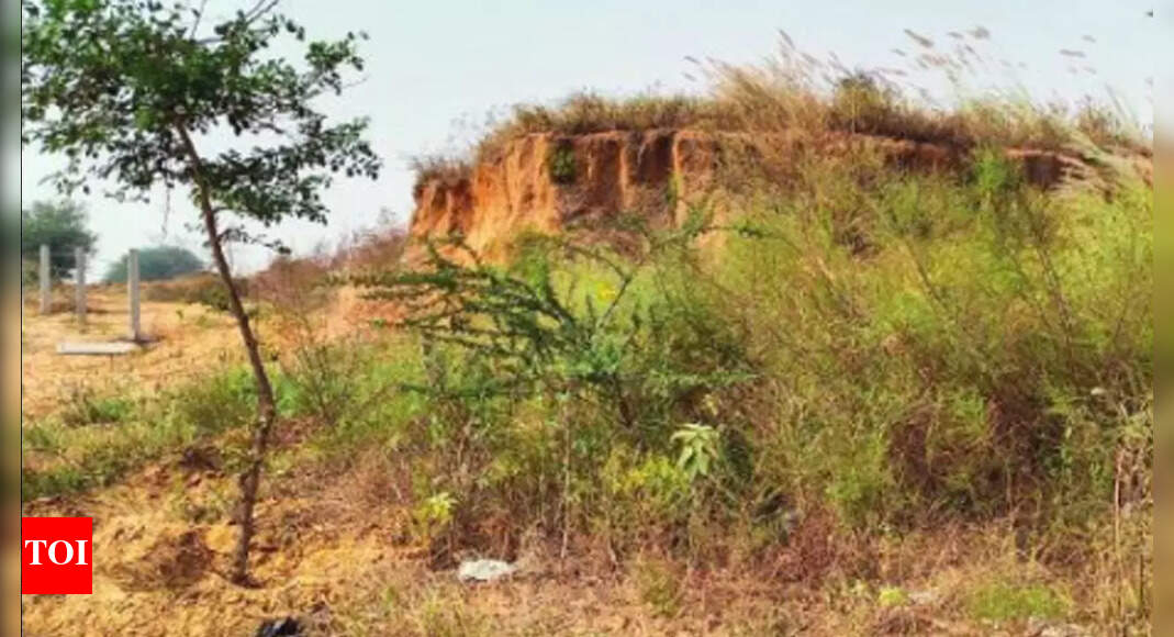 Green transformation: How Sunaria’s mini desert got an oasis ...