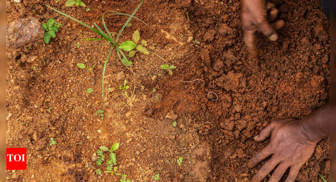 Over-exploitation over centuries has degraded 96m hectares of India’s ...