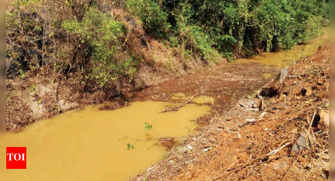 Goa: Tillari canals shut for major repairs for first time in 22 years ...