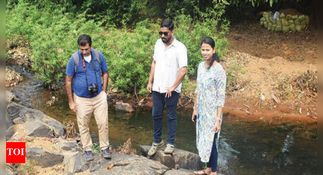 Gao: 'Survey of petroglyphs part of long-term conservation plan' | Goa ...