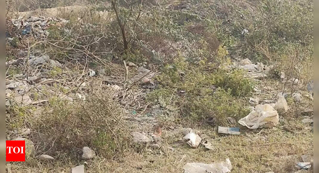 Noida: Drain silt, garbage and broken roads trouble Sector 3 residents ...