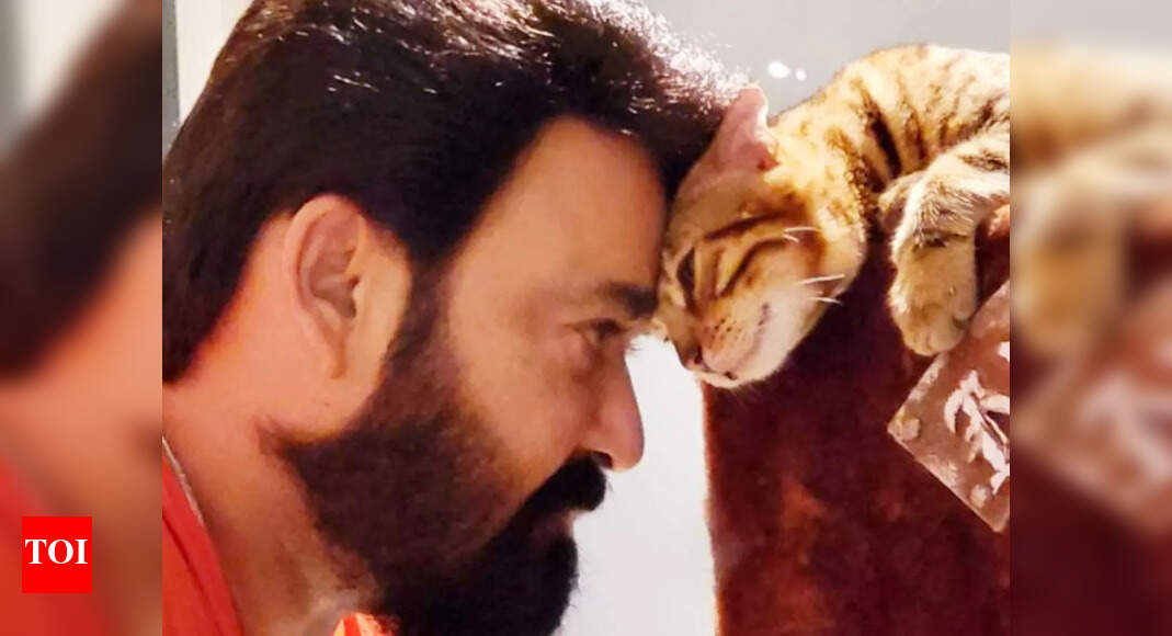Mohanlal’s picture with his pet cat will make all the pet parents go ...