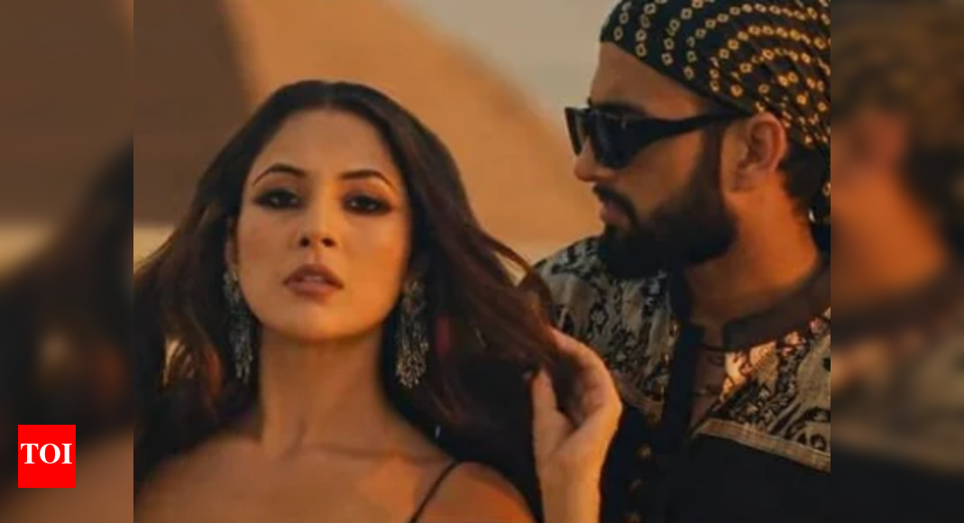 Shehnaaz Gill's Haryanvi accent in 'Ghani Syaani' song leaves fans ...