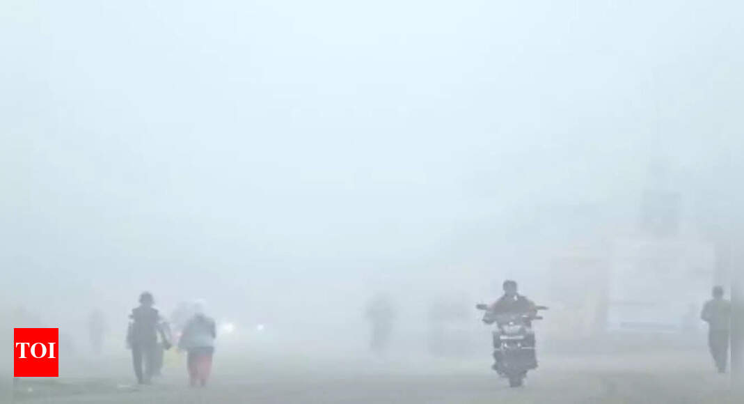 Cold conditions may return to Pune from mid-December: IMD | Pune News ...