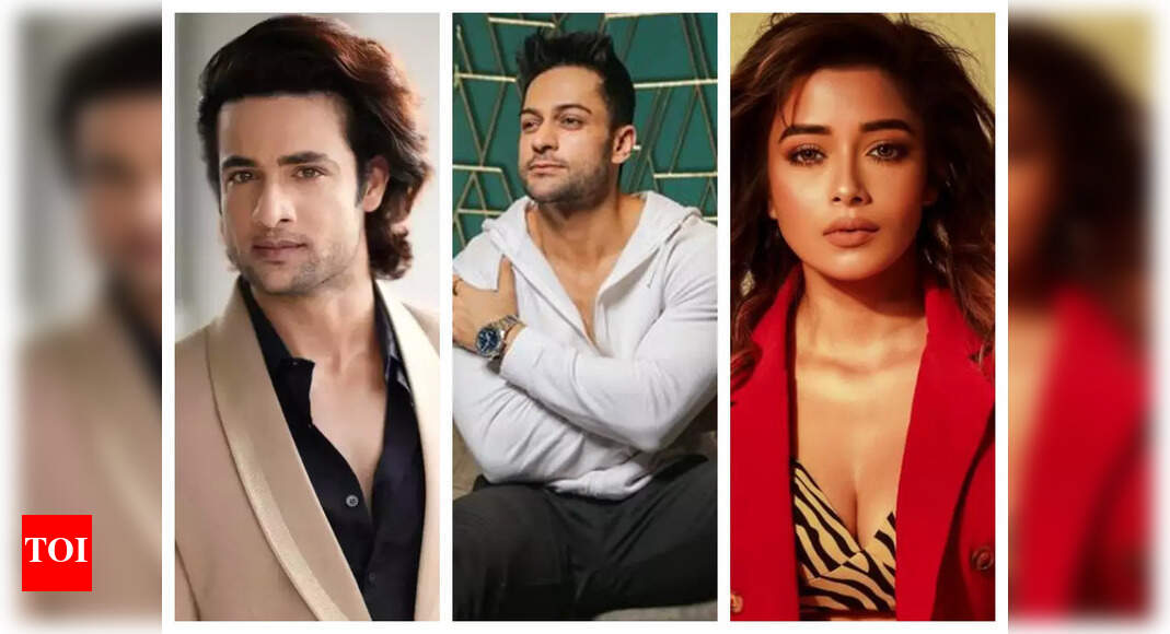 Bigg Boss 16: Ram Siya Ke Luv Kush actor Himanshu Soni calls out Tina ...