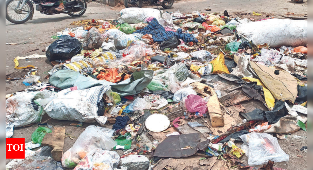 Karnataka HC trashes challenge to garbage disposal tender | Bengaluru ...