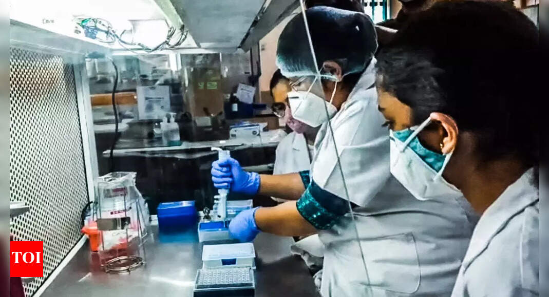 Fat around organs more susceptible to severe Covid than fat under skin ...