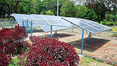 Thiruvarur: Thiruvarur to get first district-level solar park in Tamil ...