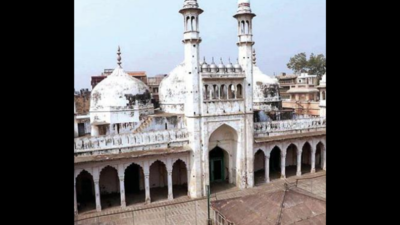 In UP, 'Old map shows Hindu deities' existence on Gyanvapi wall ...