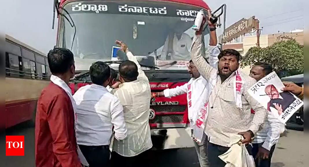 Karnataka: Karnataka-Maharashtra border row: Key points | Bengaluru ...