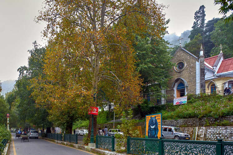Cool Nainital experiences you shouldn't skip | Times of India Travel