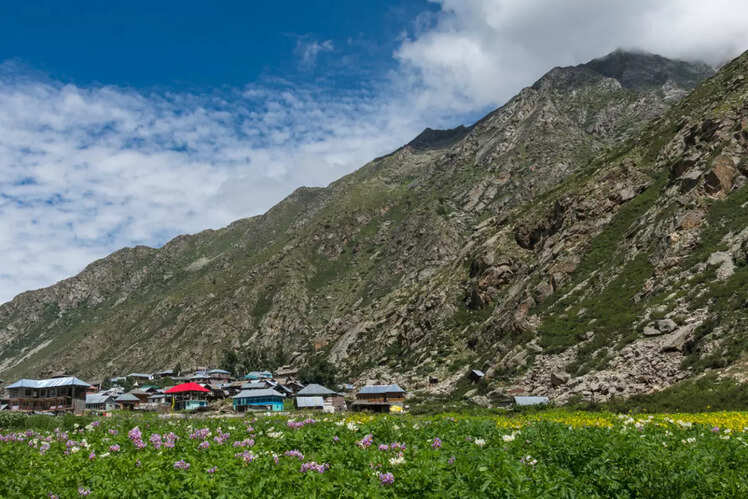 Places to visit in Himachal Pradesh for New Year | Times of India Travel
