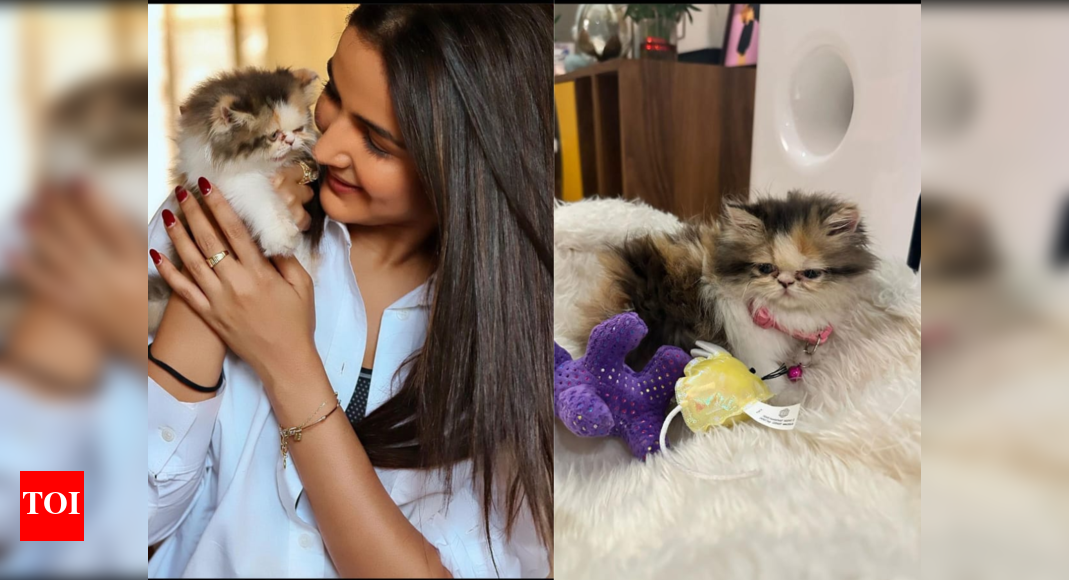 Naagin 4 actor Jasmin Bhasin shares goofy pictures with her new pet cat ...