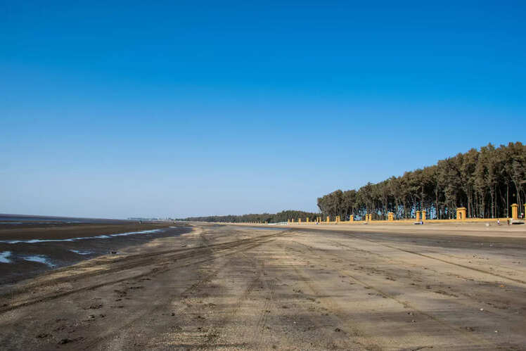 In pictures: Cool ways to experience Daman and Diu | Times of India Travel